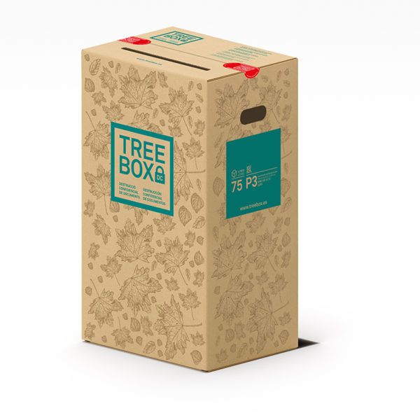 Bienvenida - Treebox